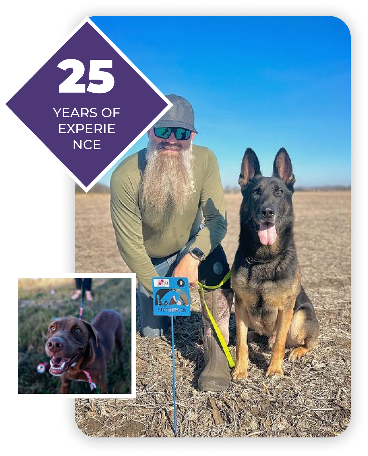 Orions K9 Academy - orionsk9.com